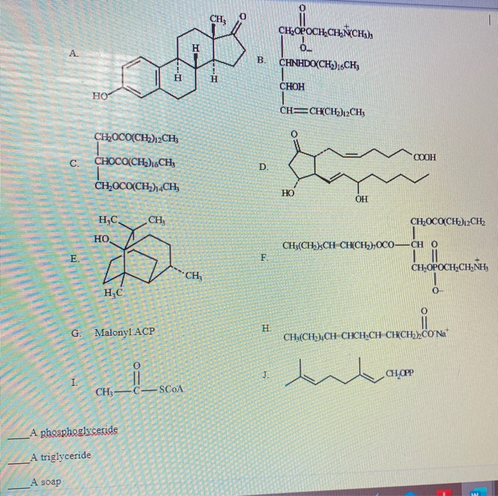 Solved Бло 2. Коли сновоCHCHCH,), 0 CHNHDO(CH2).CH - CHOH | Chegg.com