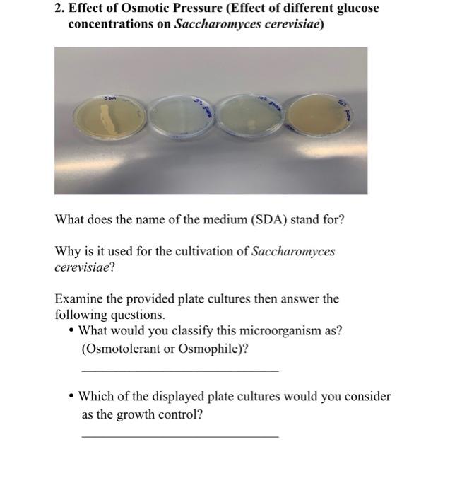 Solved 2. Effect of Osmotic Pressure (Effect of different | Chegg.com