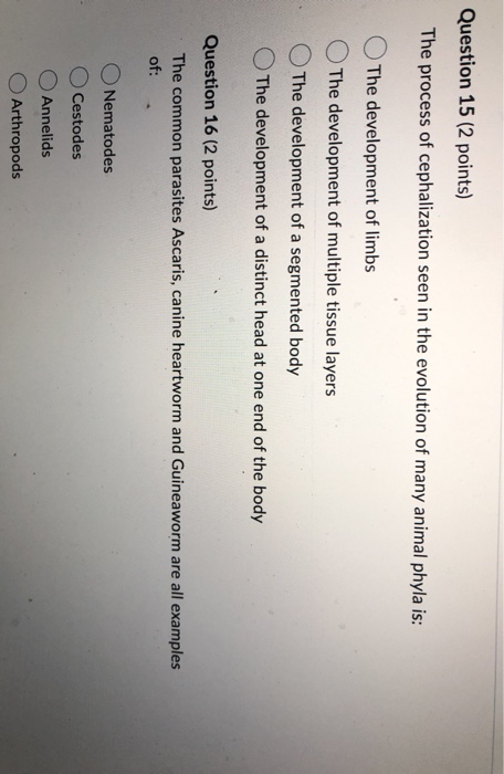 Solved Question 15 (2 points) The process of cephalization | Chegg.com