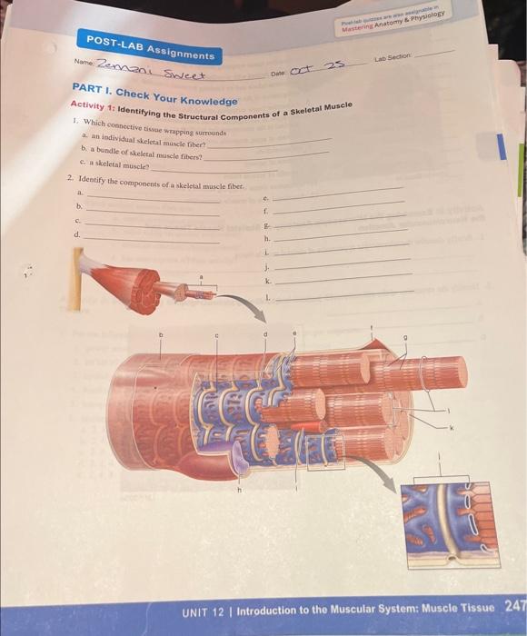 Solved PART I. Check Your Knowledge Activity it Identifying | Chegg.com