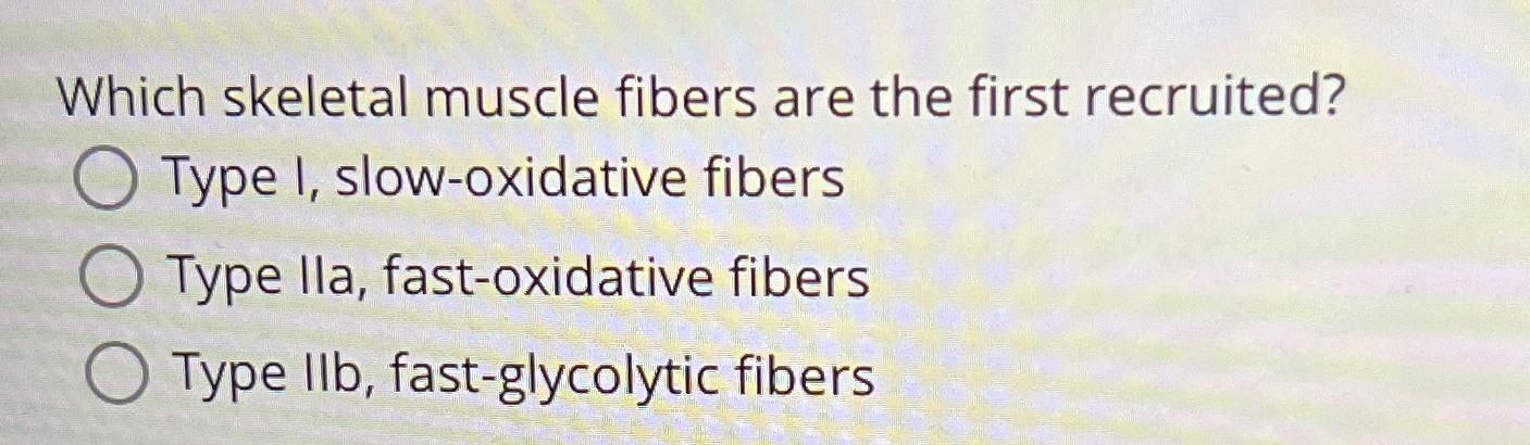 Solved Which skeletal muscle fibers are the first | Chegg.com
