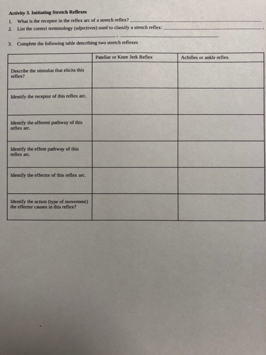 Solved Activity 3. Initiating Stretch Reflexes 1. What is | Chegg.com