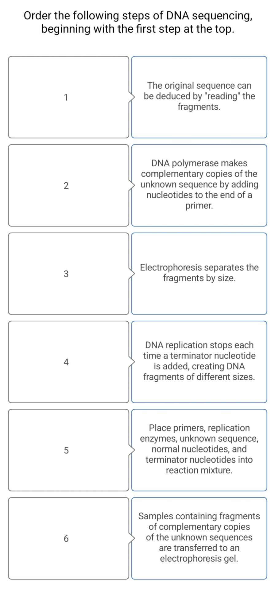 Solved Order the following steps of DNA sequencing, | Chegg.com