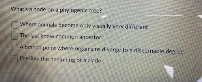 Solved What's a node on a phylogenic tree? Where animals | Chegg.com