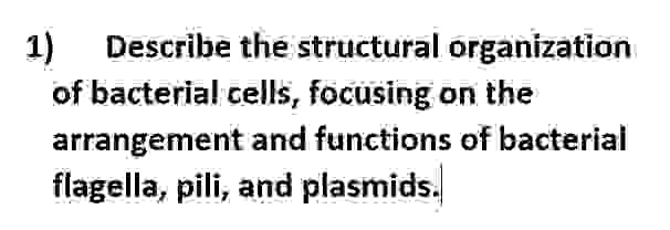 Solved Describe the structural organizationof bacterial | Chegg.com