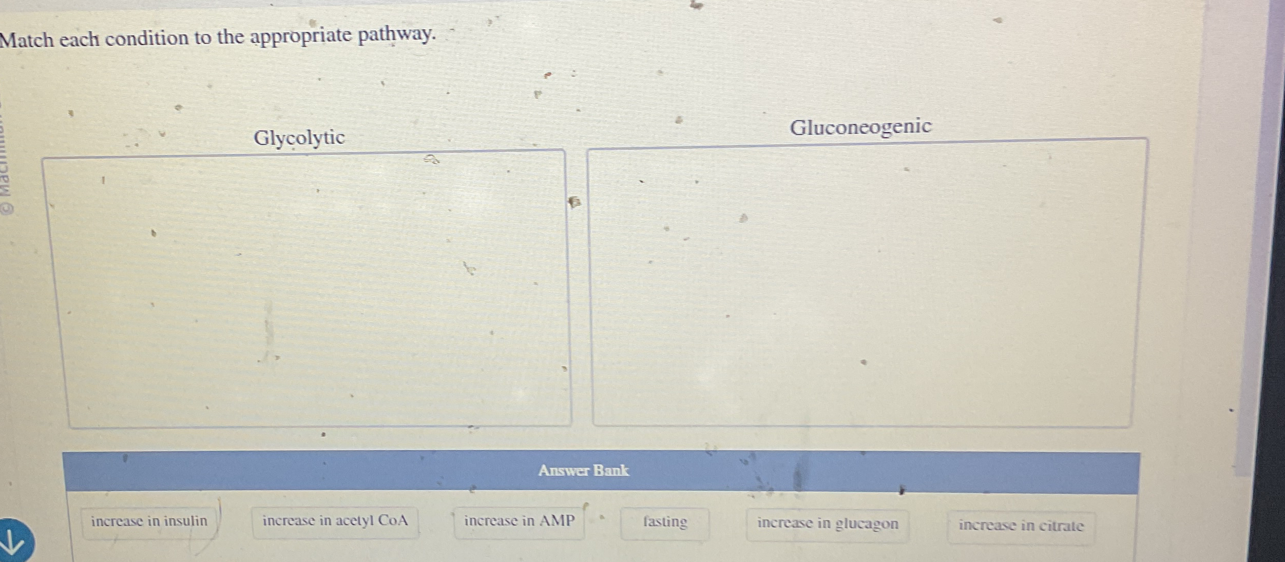 Solved Match each condition to the appropriate | Chegg.com