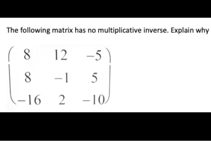 Solved The Following Matrix Has No Multiplicative Inverse
