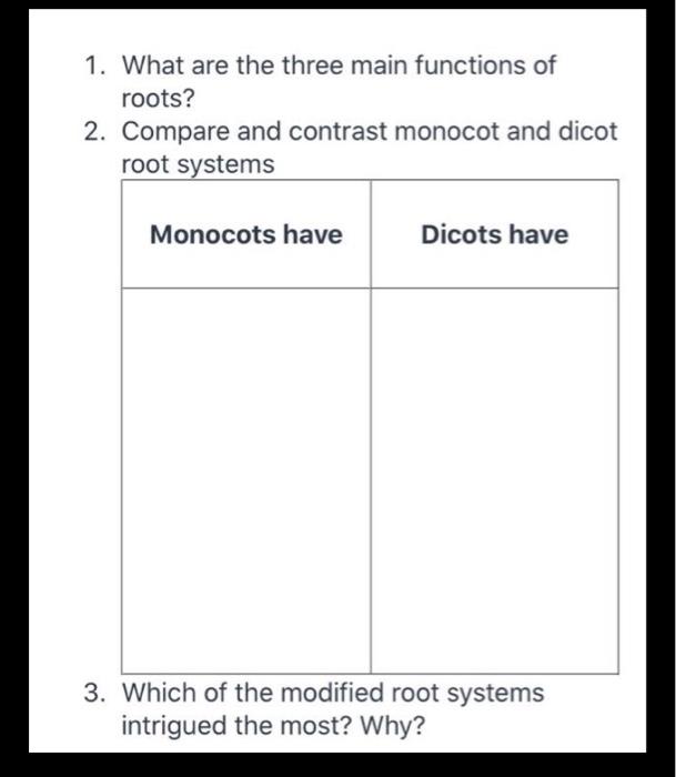 Solved 1. What are the three main functions of roots? 2. | Chegg.com