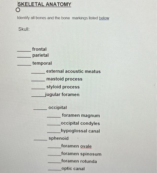 Solved Identify all bones and the bone markings listed below | Chegg.com