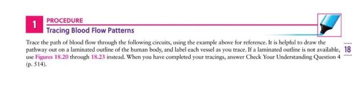 Solved Tracing Blood Flow Patterns Trace the path of blood | Chegg.com