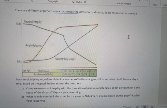 Solved ParagraphStylesAdobe AcrobatVoiceThere are different | Chegg.com