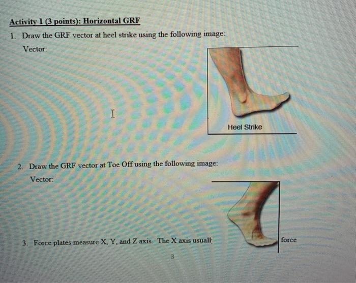 Solved Activity 1 (3 points): Horizontal GRF 1. Draw the GRF | Chegg.com