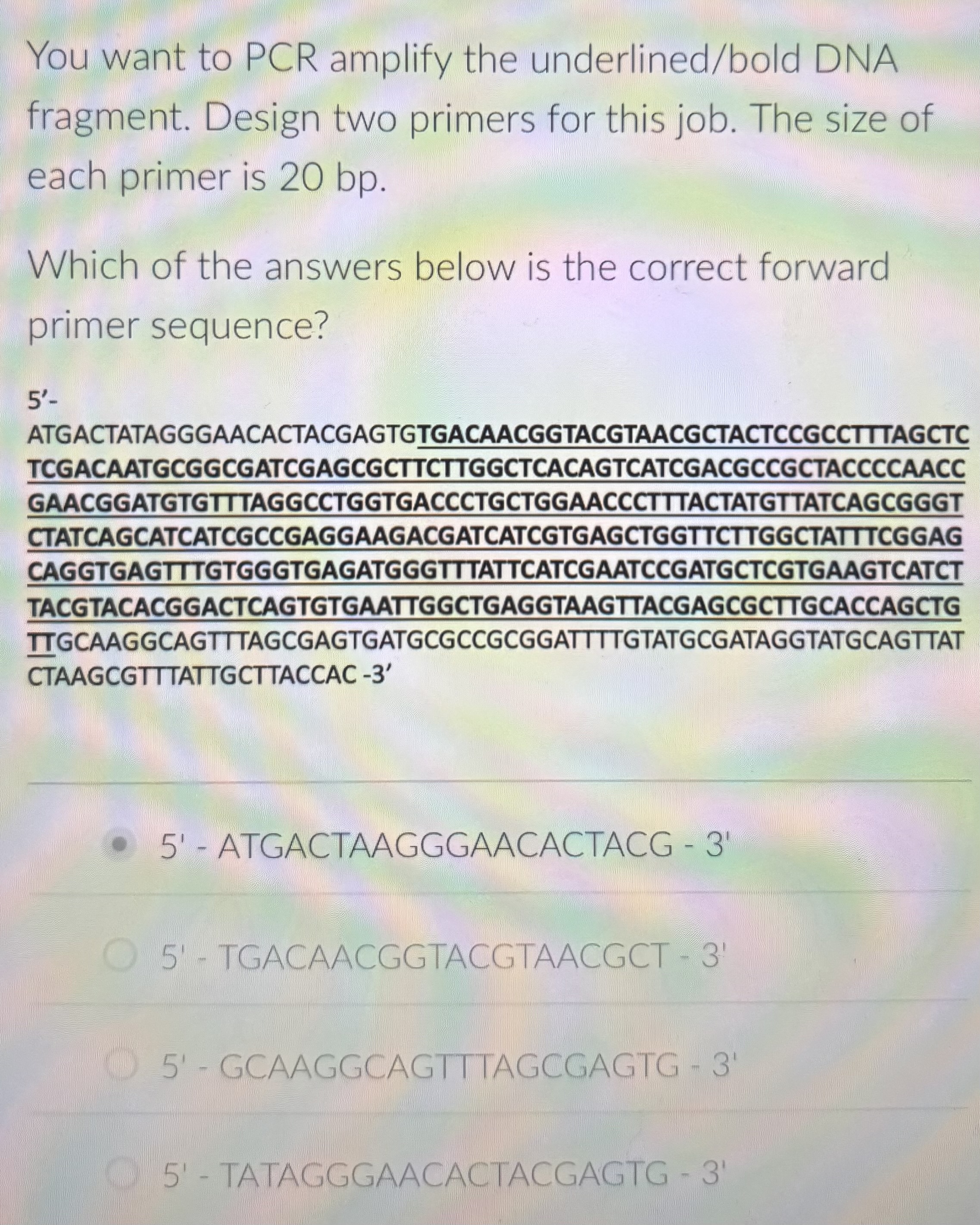 Solved You want to PCR amplify the underlined/bold DNA | Chegg.com