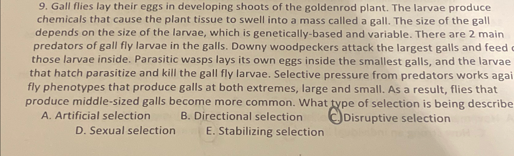Solved Gall flies lay their eggs in developing shoots of the | Chegg.com