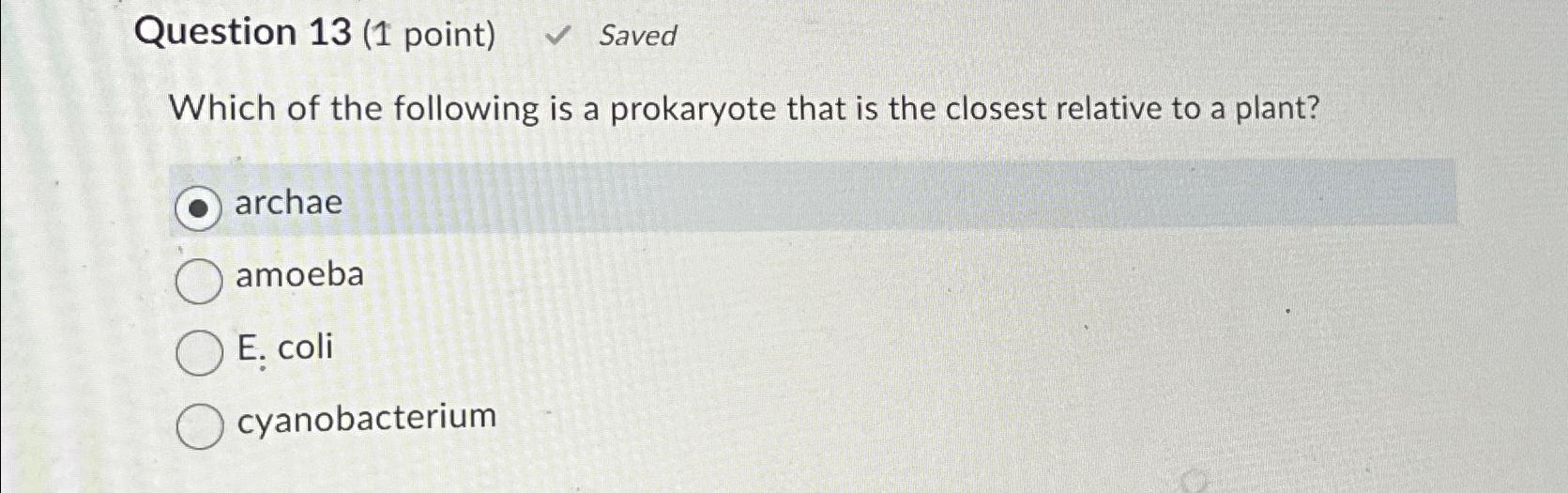 Solved Question 13 (1 point) SavedWhich of the following | Chegg.com Solved Question 13 (1 point) SavedWhich of the following | Chegg.com