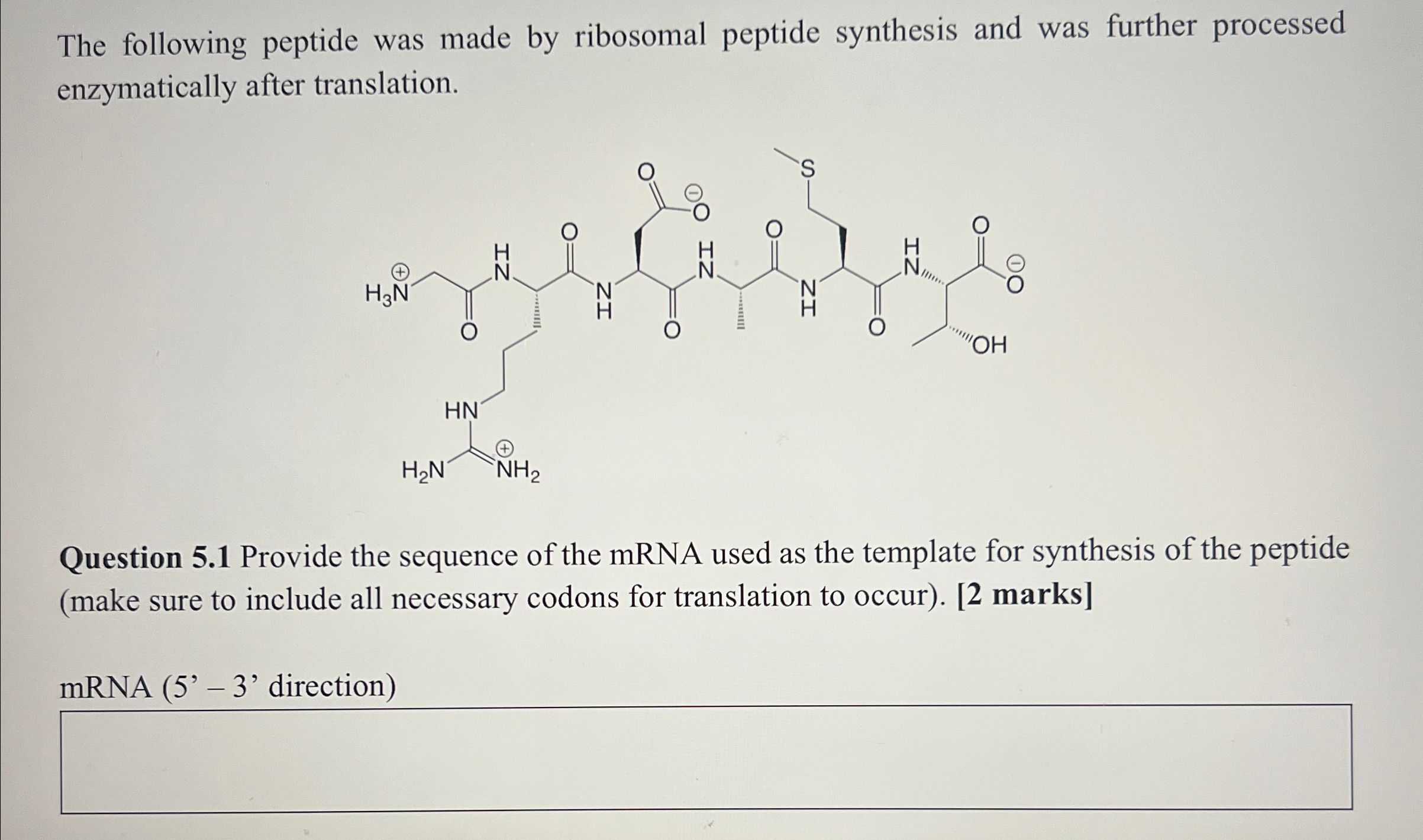 The following peptide was made by ribosomal peptide | Chegg.com
