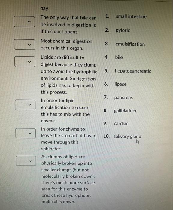 Solved These questions are about the pancreas. 1. true The | Chegg.com
