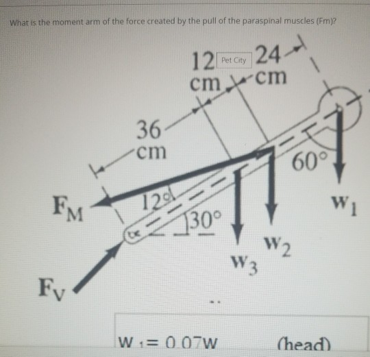Solved What is the moment arm of the force created by the | Chegg.com