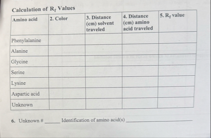 Solved Calculation of Rf ﻿Values\table[[Amino acid,2. | Chegg.com