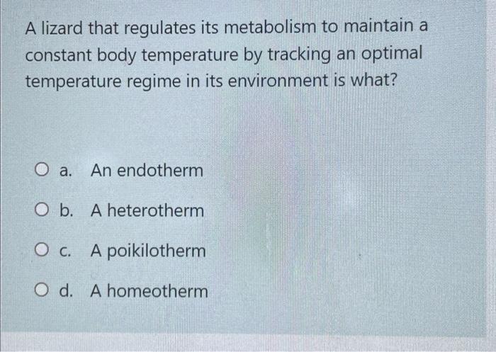 Solved A lizard that regulates its metabolism to maintain a | Chegg.com