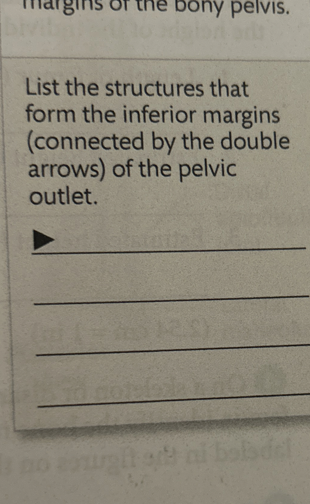 Solved List the structures thatform the inferior | Chegg.com