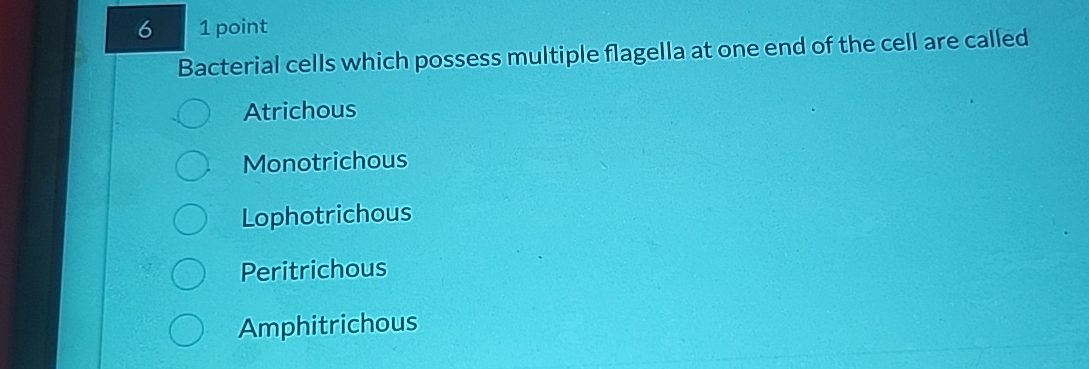 Solved 61 ﻿pointBacterial cells which possess multiple | Chegg.com