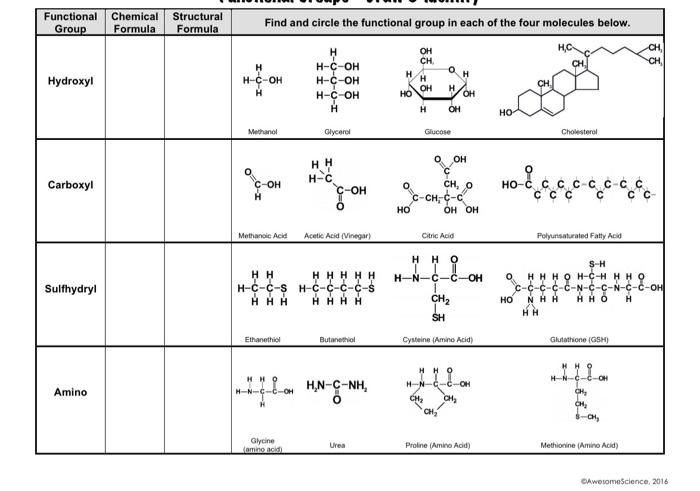 Solved Functional Group Chemical Formula Structural Formula | Chegg.com