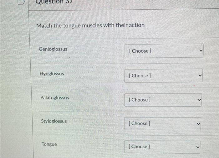 Match the tongue muscles with their action | Chegg.com