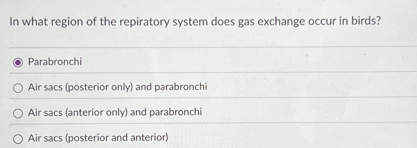 Solved In what region of the repiratory system does gas | Chegg.com