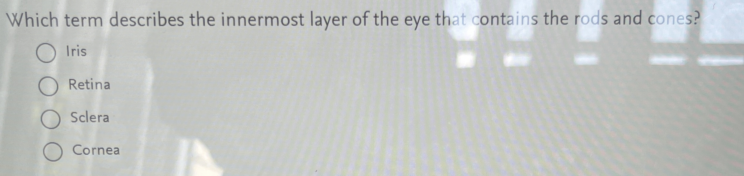 Solved Which term describes the innermost layer of the eye | Chegg.com