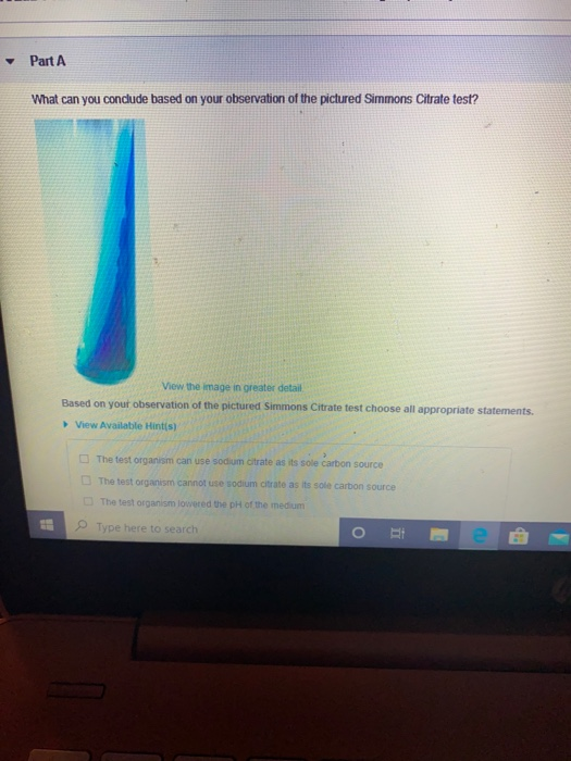 Practical: Biochemical Tests - Simmons Citrate agar | Chegg.com