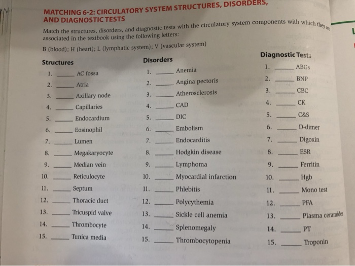 Solved wth which they MATCHING 6-2: CIRCULATORY SYSTEM | Chegg.com Solved wth which they MATCHING 6-2: CIRCULATORY SYSTEM | Chegg.com