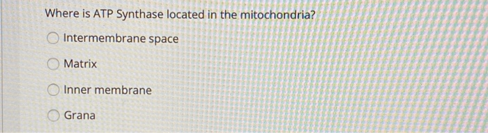 Solved Where is ATP Synthase located in the mitochondria? | Chegg.com