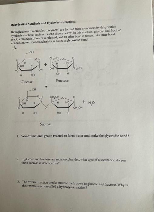 Solved Dehydration Synthesis and Hydrolysis Reactions | Chegg.com