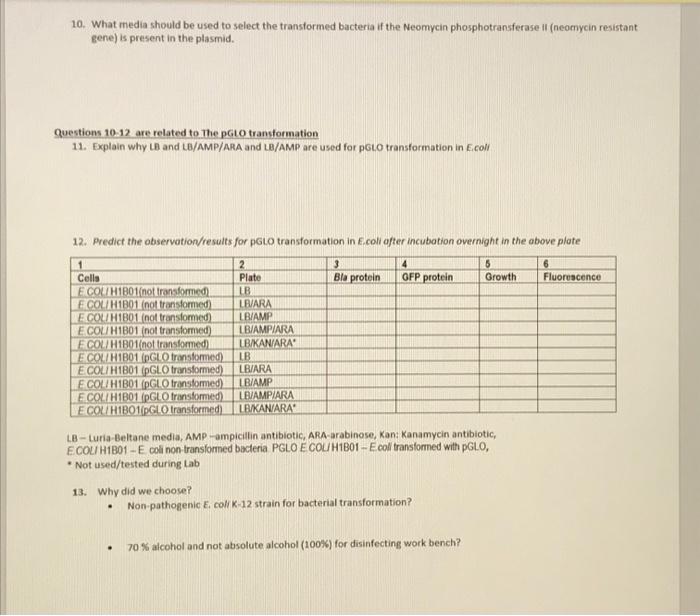Solved 3. Select a foreign organism for your plasmid | Chegg.com