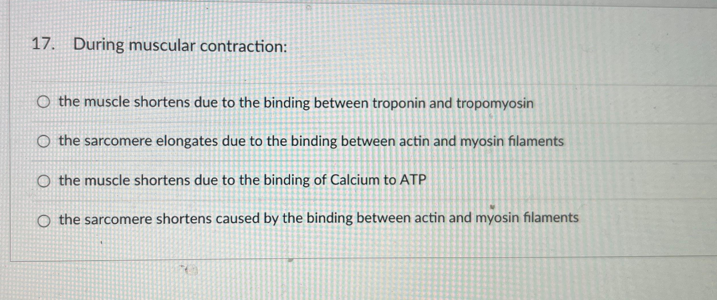 Solved During muscular contraction:the muscle shortens due | Chegg.com