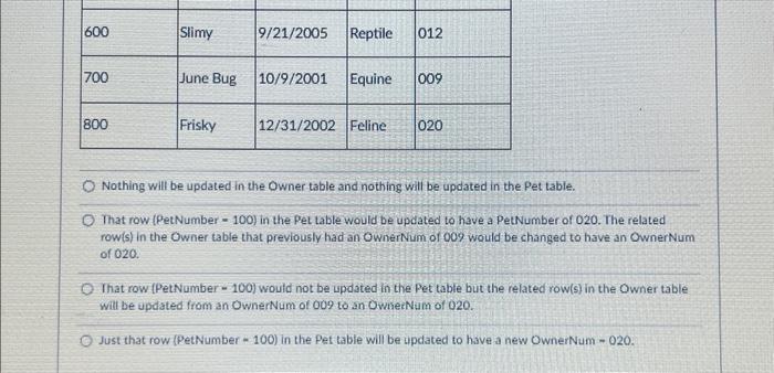 Solved An option for referential integrity between the owner | Chegg.com