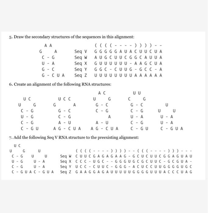 Solved 7. Add the following Seq V RNA structure to the | Chegg.com