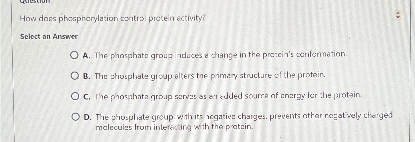 Solved How does phosphorylation control protein | Chegg.com