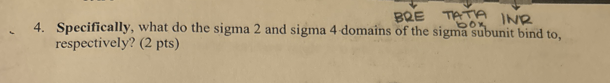 Solved Specifically, what do the sigma 2 ﻿and sigma | Chegg.com