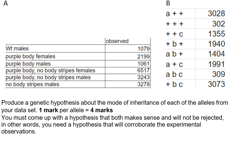 Solved Produce a genetic hypothesis about the mode of | Chegg.com