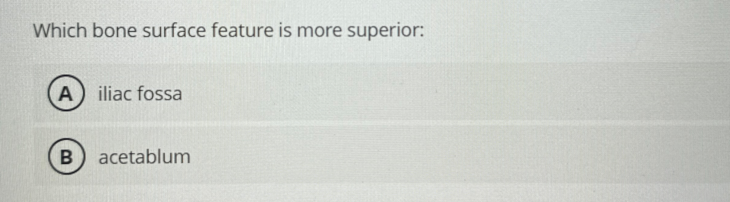 Solved Which bone surface feature is more superior:iliac | Chegg.com