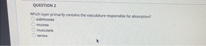 Solved Which layer primarily contains the vasculature | Chegg.com