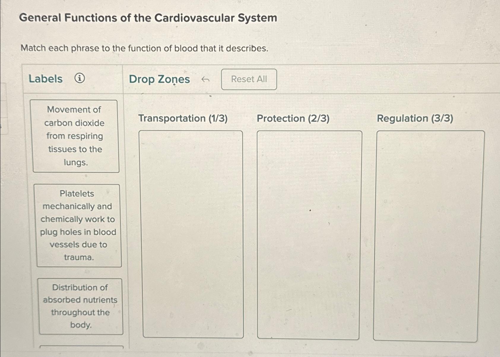 Solved General Functions of the Cardiovascular SystemMatch | Chegg.com