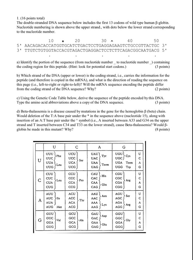 Solved (16 ﻿points total)The double-stranded DNA sequence | Chegg.com