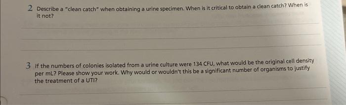 Solved 2 Describe a "clean catch" when obtaining a urine | Chegg.com