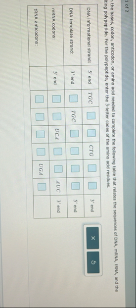 Solved 1 ﻿of 2the bases, codon, anticodon, or amino acid | Chegg.com