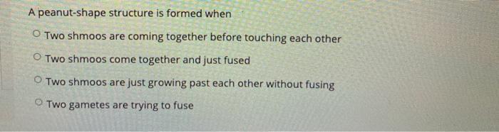 Solved A peanut-shape structure is formed when Two shmoos | Chegg.com