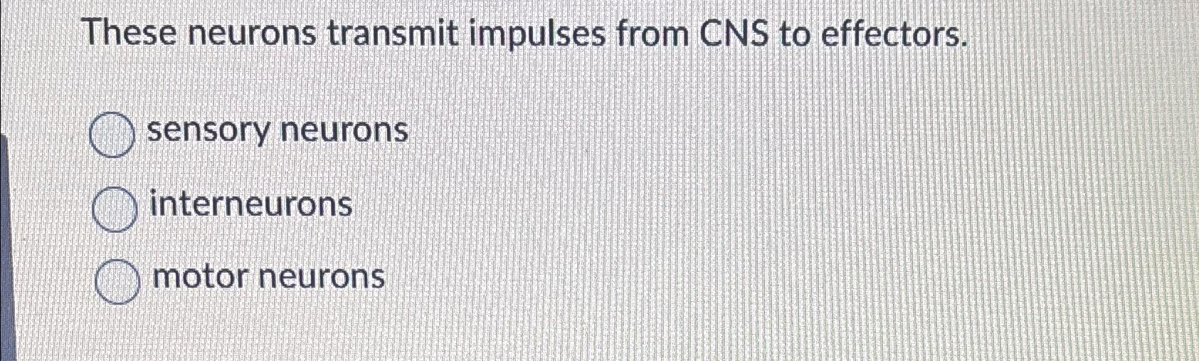 Solved These neurons transmit impulses from CNS to | Chegg.com