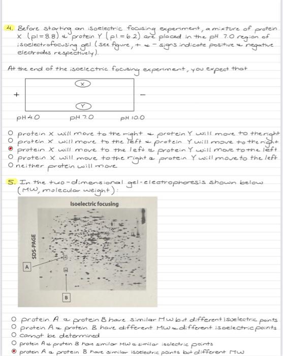 Solved this is biochemistry 1. I have answered the questions | Chegg.com